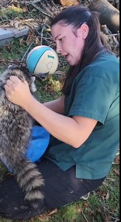 Raccoon Rescue 2022