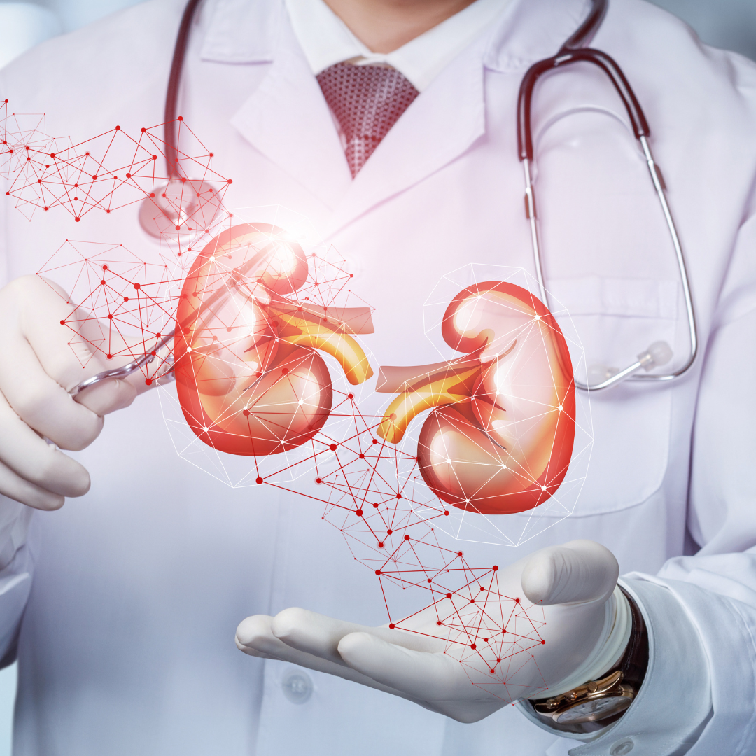 What is a Nephrologist and When Should You See One?
