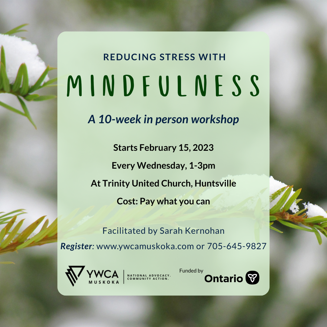 wellness workshops