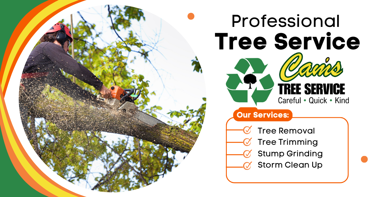 Northwest Indiana Tree Removal | Cam's Tree Service