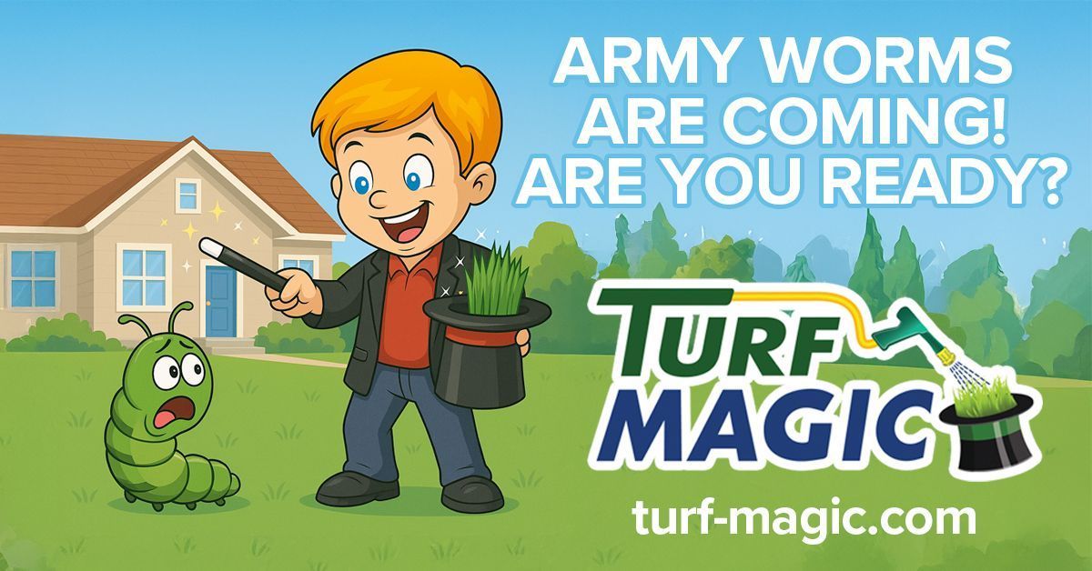 Is Your Lawn Safe From Army Worms? | Turf Magic