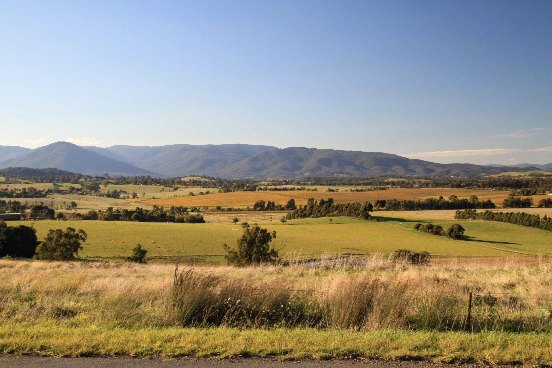 Financial Services | SVS Management | Yarra Glen, VIC