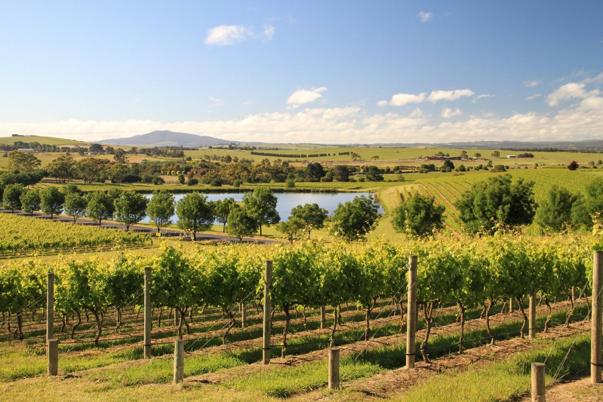 Financial Services | SVS Management | Yarra Glen, VIC