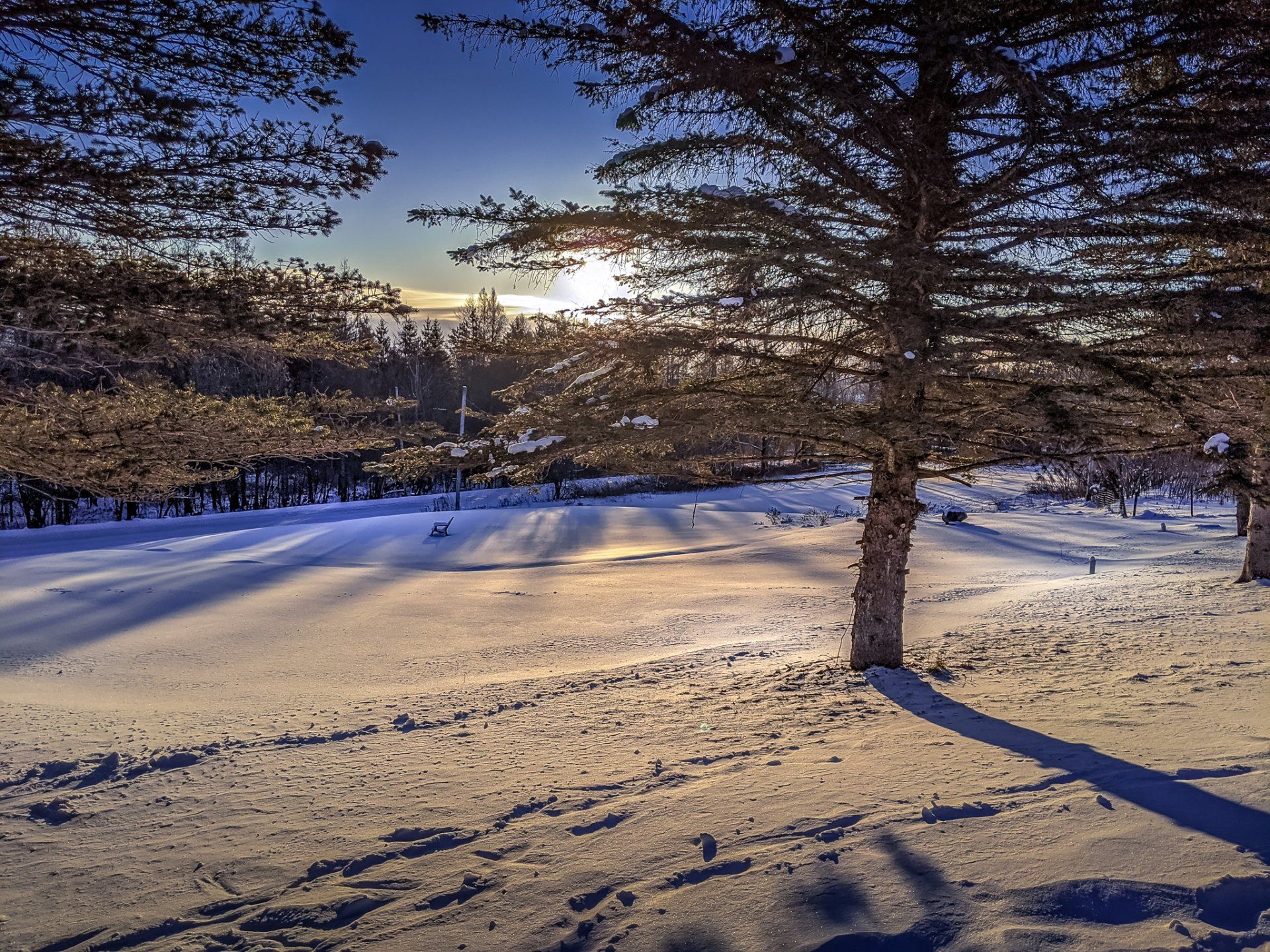 Our Programs | Dunham House