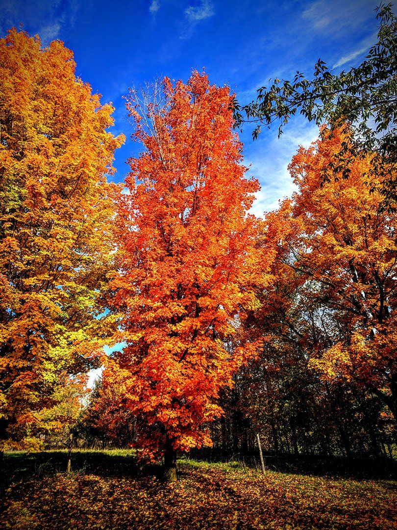 Mental Health Treatment | Québec | Dunham House