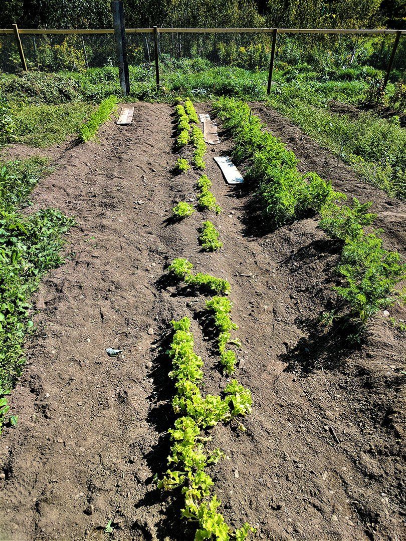 Mental Health Treatment | Québec | Dunham House