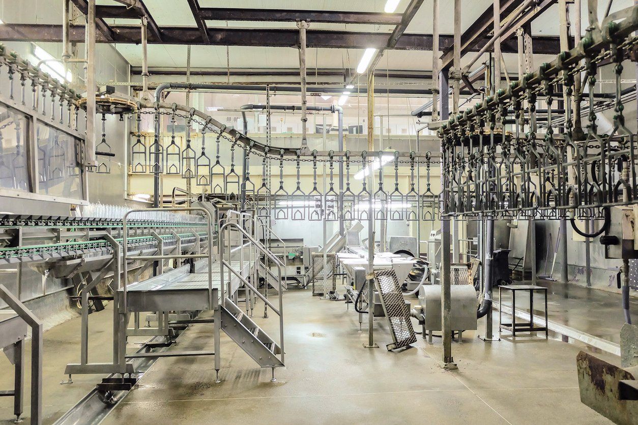 Is Drain Cleaning Important For Your Food Processing Plant?