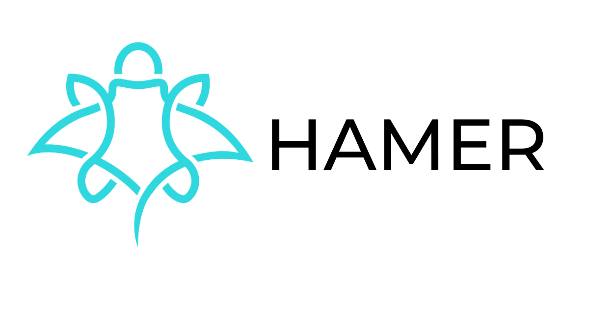 Home [www.hamerinhawaii.org]