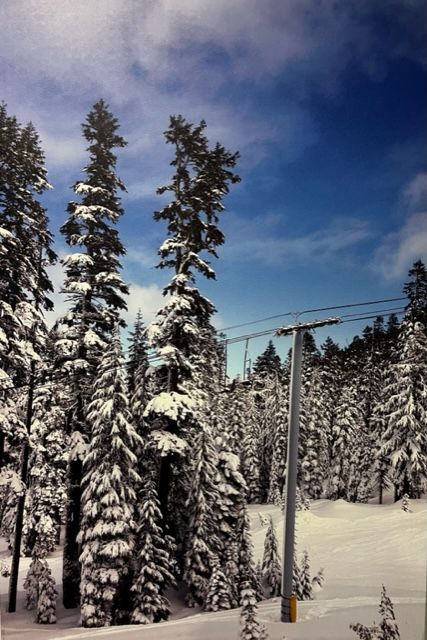 Sacred Roots | Medical and Rec Dispensary