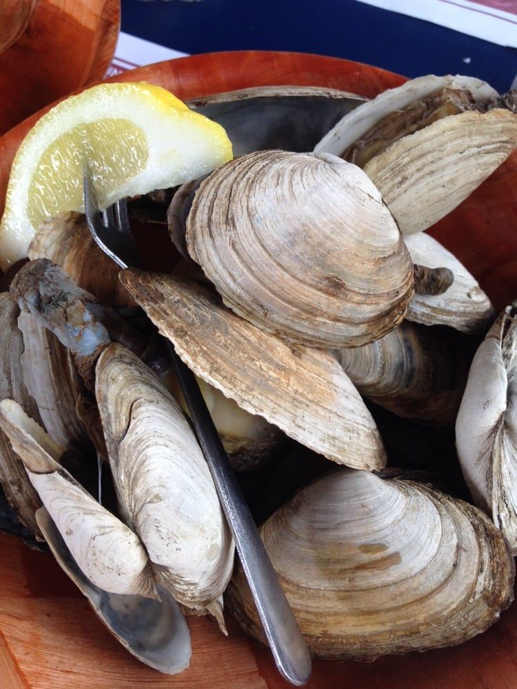 The Casual Clam | St. Petersburg FL | Phone 727-895-2526