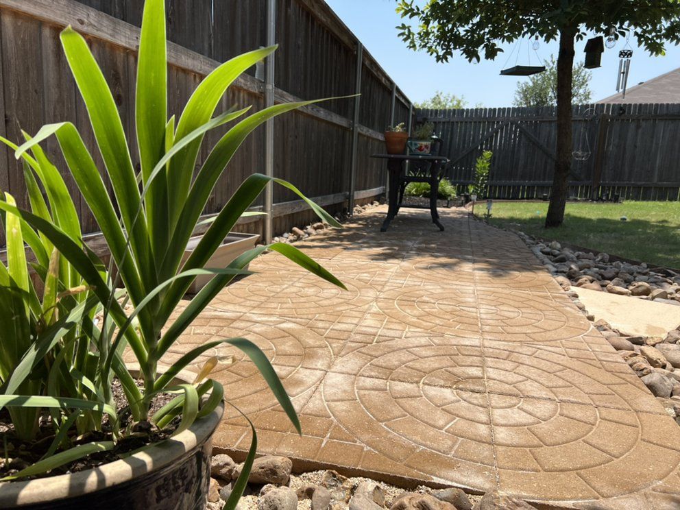 Alamo City Tree Service & Landscaping - Top Rated Landscaper & Tree ...