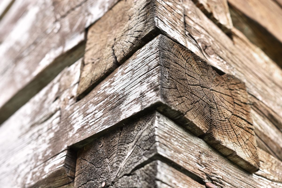 Dovetail vs Other Joints Guide | Bay & Bent | America