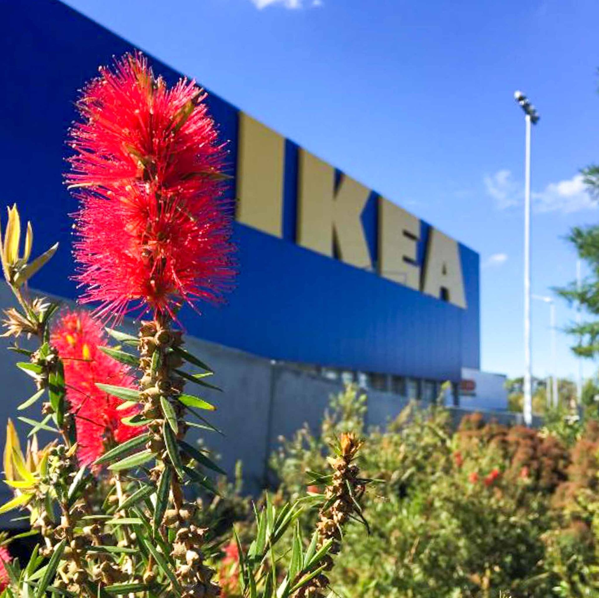 Ikea Landscaping Products | Ikea Garden Design Inspiration | Outdoor ...