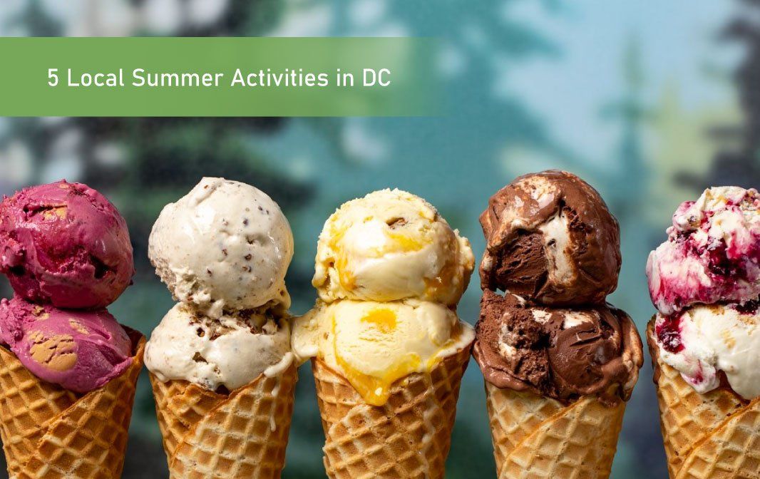 5 Local Summer Activities in DC