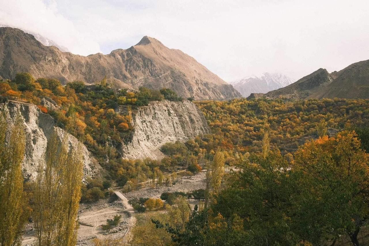 ใบไม้เปลี่ยนสีที่ปากีสถาน ตุลาคม 2568