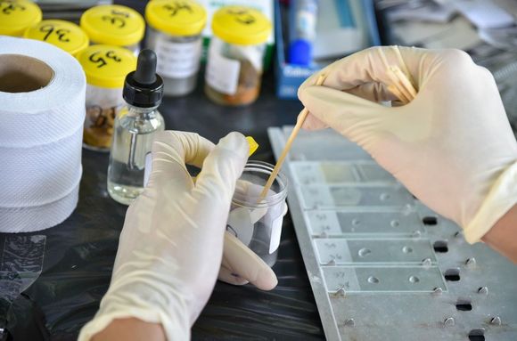 ParaBoss WEC QA Certified Lab Located in Armidale, NSW