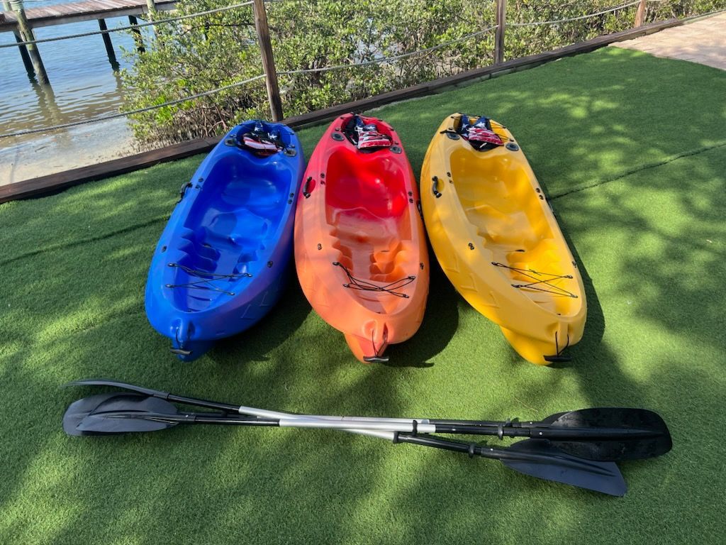 Dolphin Tours & Watersport Rentals in Ponce Inlet