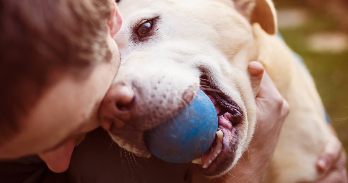 Red Ruff Inn Doggie Daycare: Happy Pets, Happy People