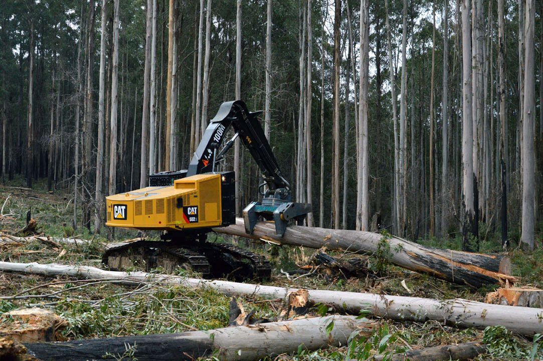 OPG, FOPS, and ROPS guarding