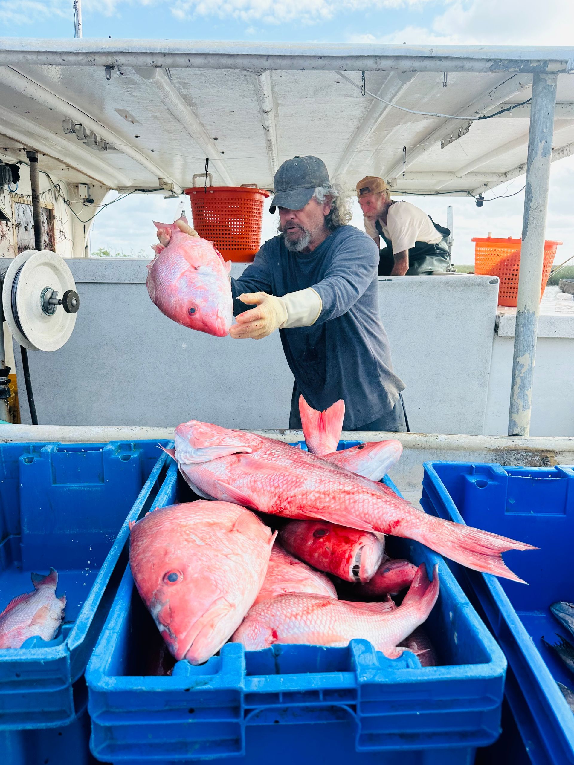 From Apalachicola Waters to Shunk Gulley's Table: The Journey of Fresh ...