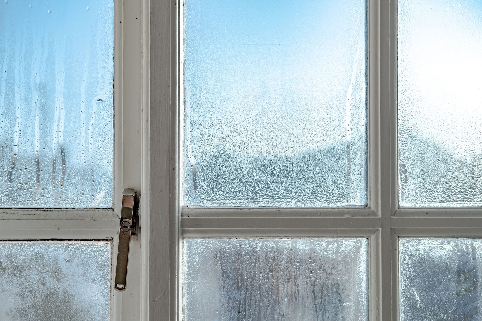 Dealing with Moisture Issues on Your Windows: Causes and Solutions