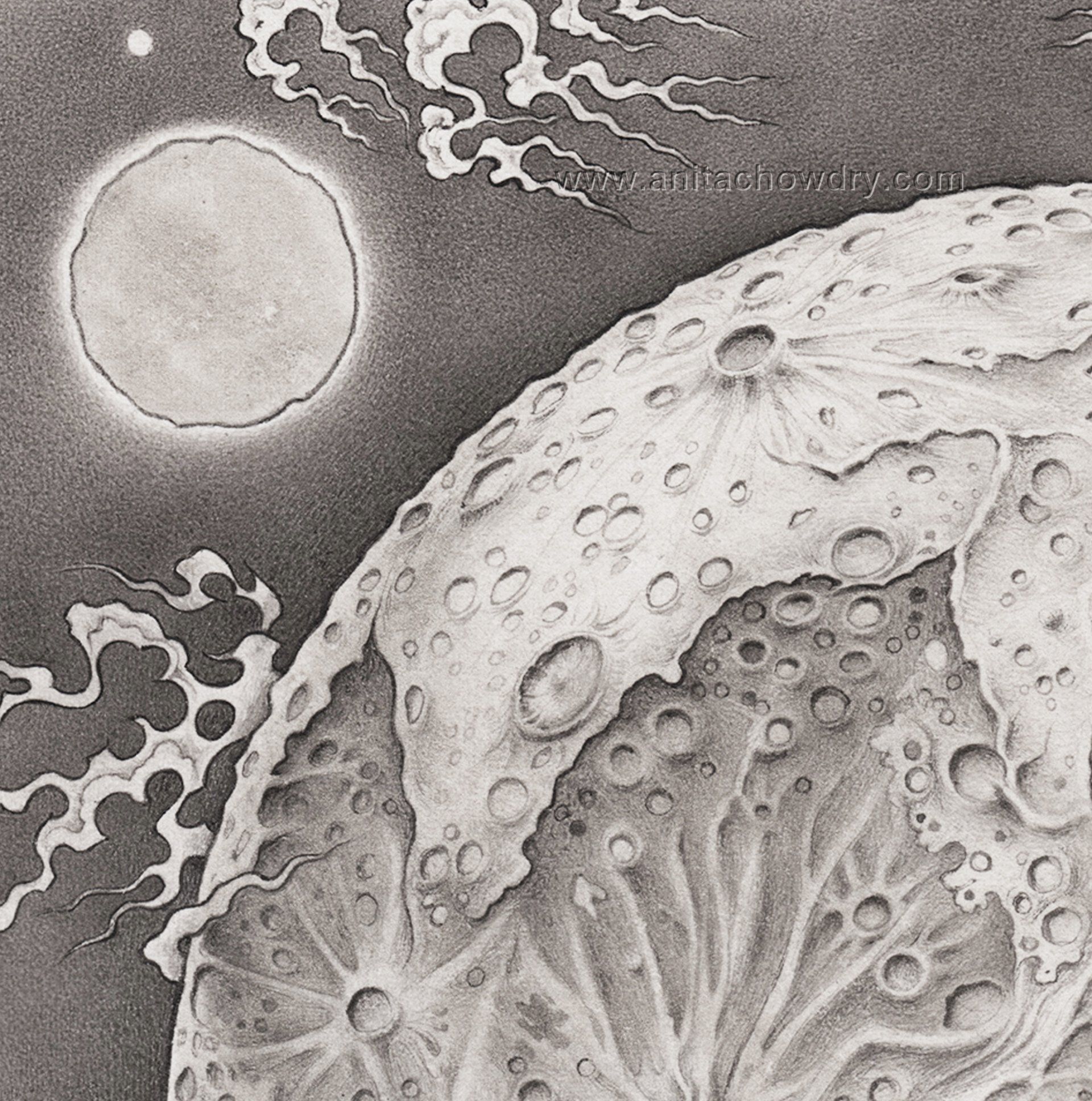 Anita Chowdry Drawings