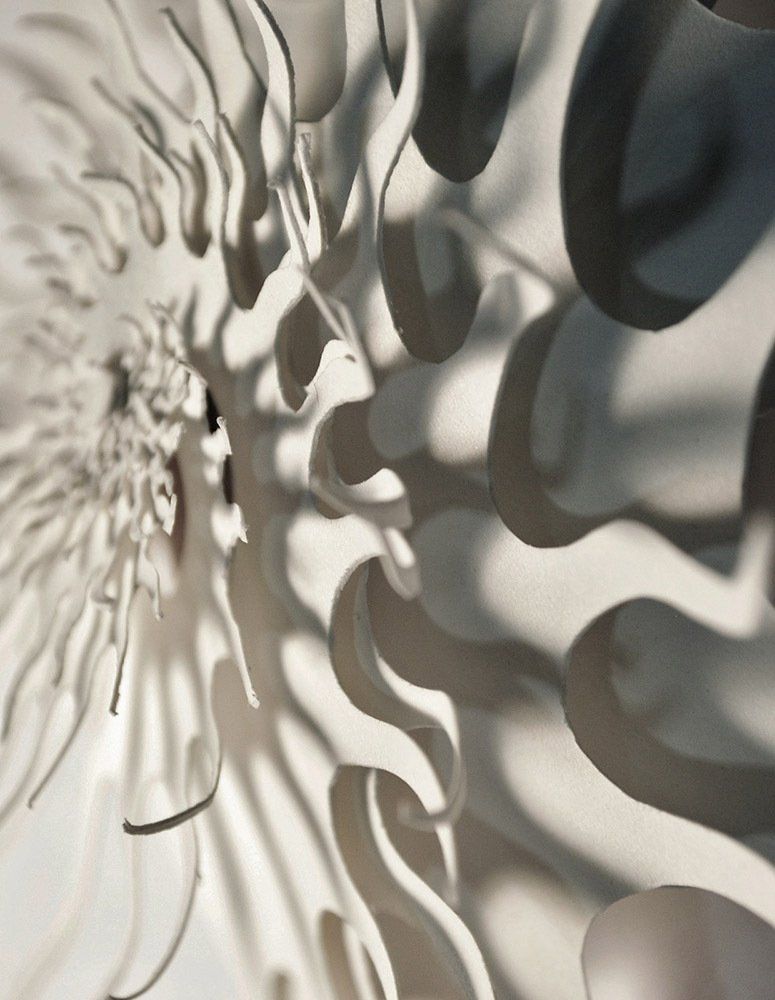 Anita Chowdry Visual Artist