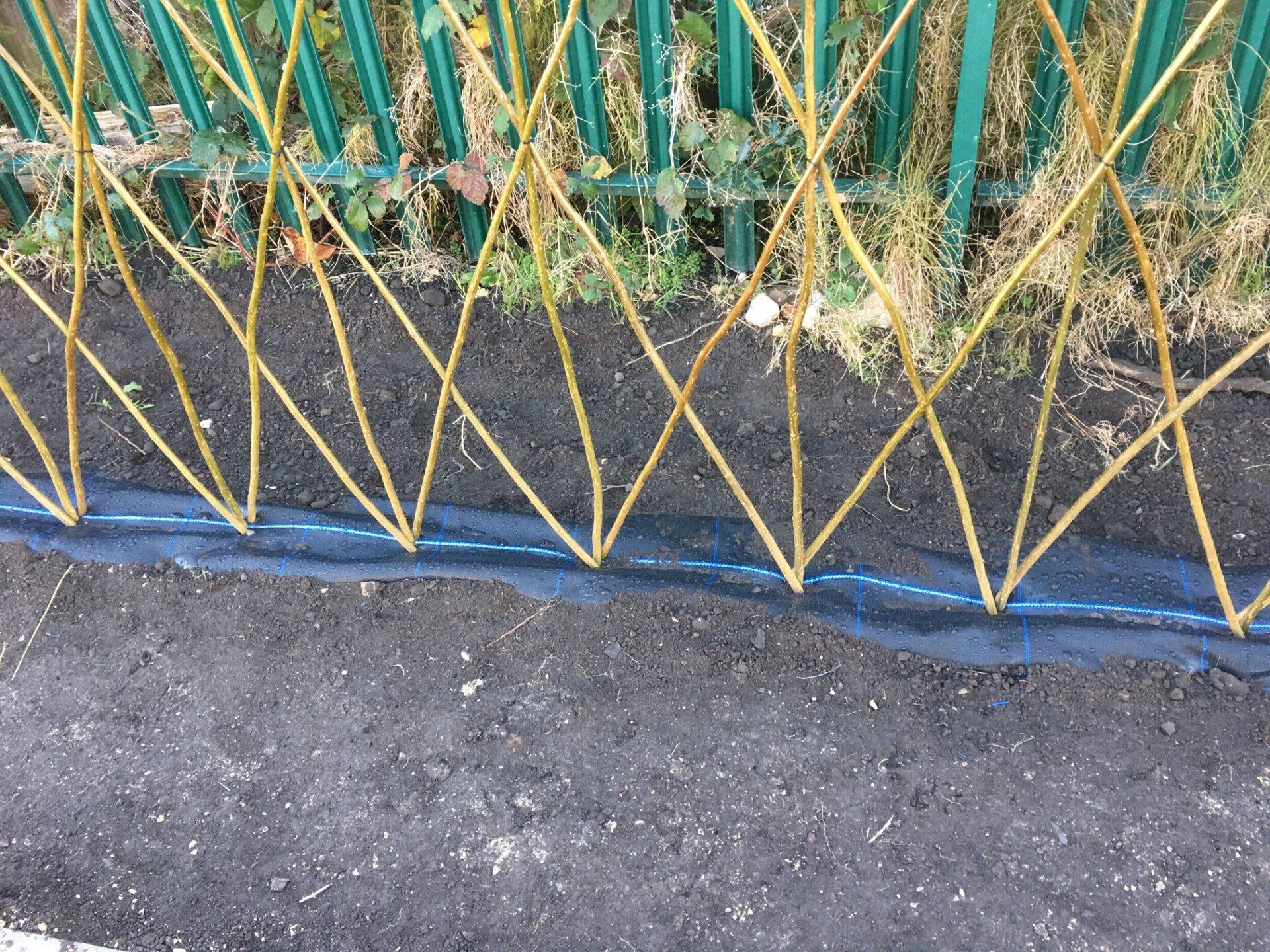 Willow Screening | Living Willow Fence & Willow Wall