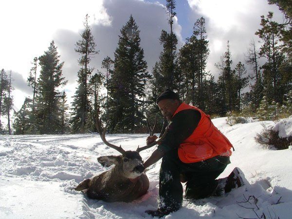 Montana Mule Deer hunting, Montana Mule Deer Hunt
