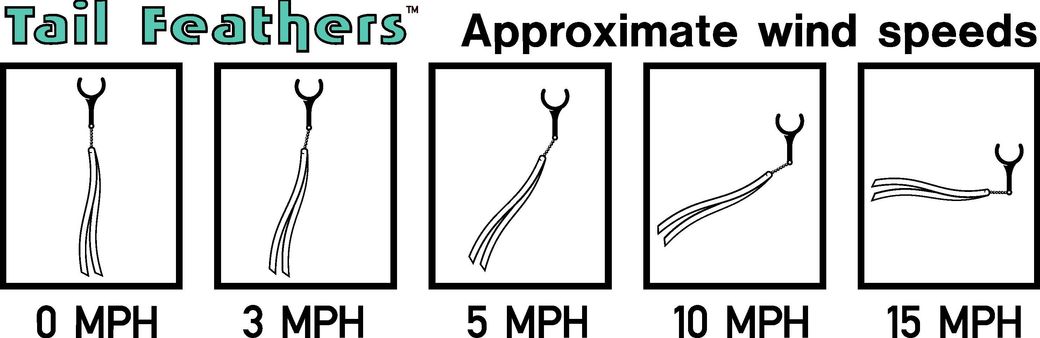Tail Feathers Wind Indicators