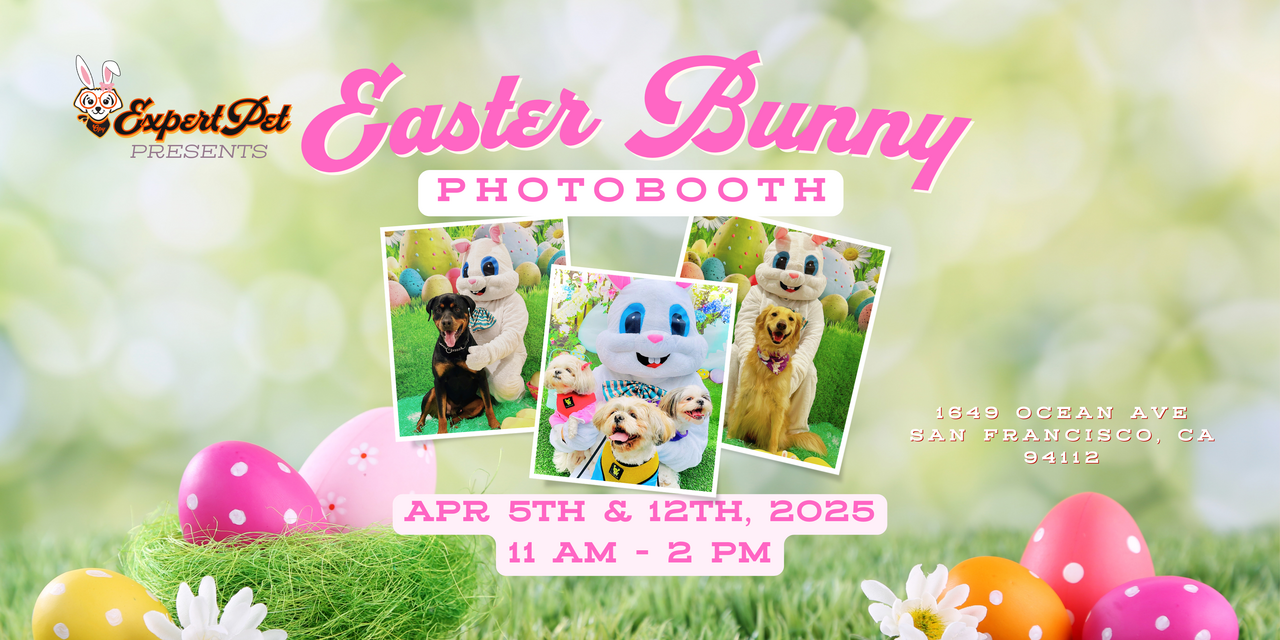 Hop into Spring: Capture Memories with the Easter Bunny!