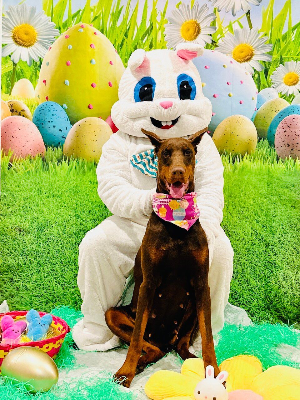 Hop into Spring: Capture Memories with the Easter Bunny!