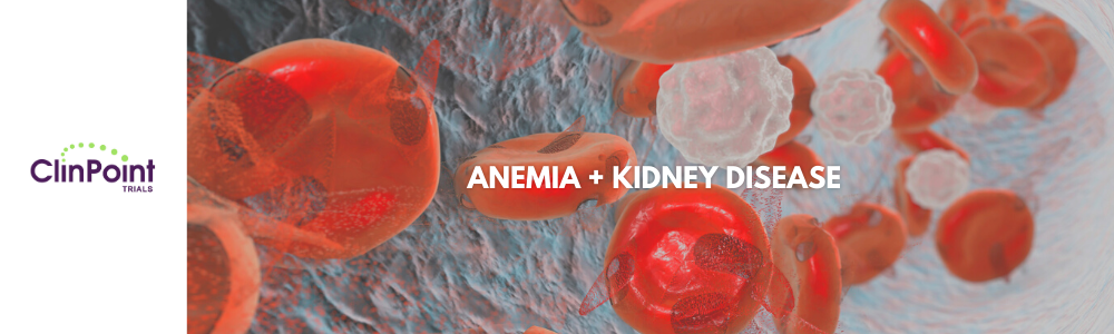 What To Know About Anemia and Kidney Disease