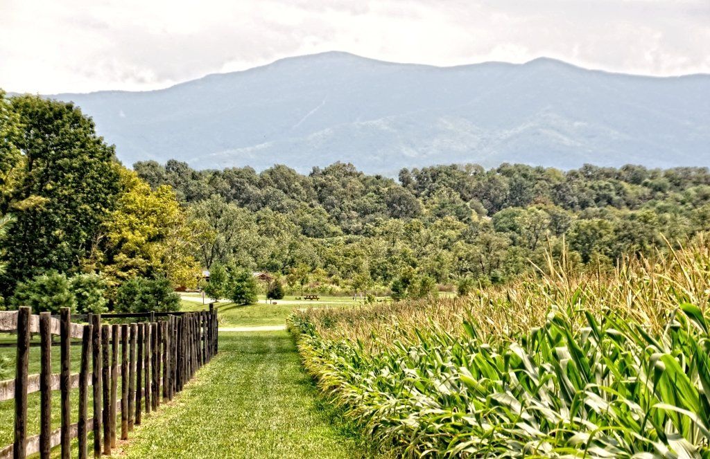Hiking Trails | Luray RV Resort | Luray, VA