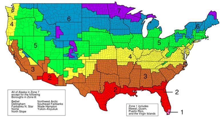 Energy Savings Attic Insulation Drywall - Duenweg MO