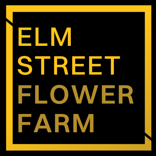 From the Heart of Northumberland