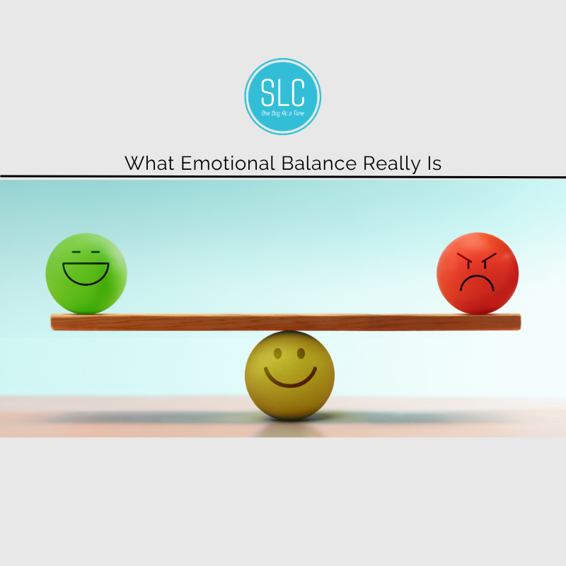 What Emotional Balance Looks Like in Real Life