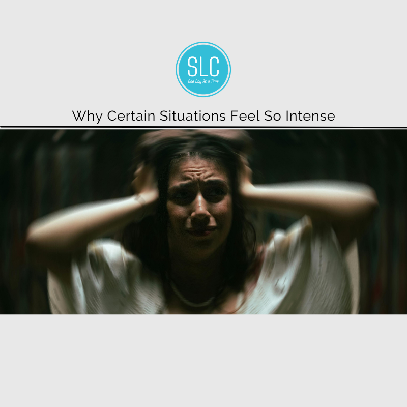 Emotional Triggers: Why Certain Situations Feel So Intense