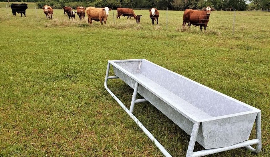 RANGER GATE | RANCH MANUFACTURING | CATTLE