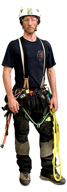 Limbwalker Tree Service - Louisville Arborists