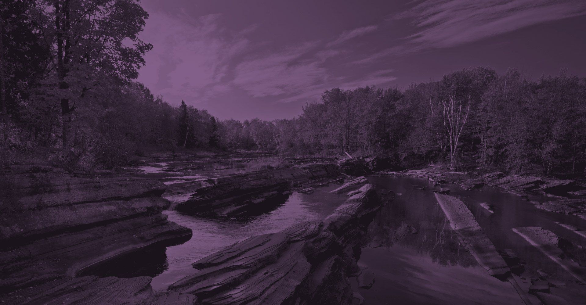 Central Michigan Cremation – Obituaries