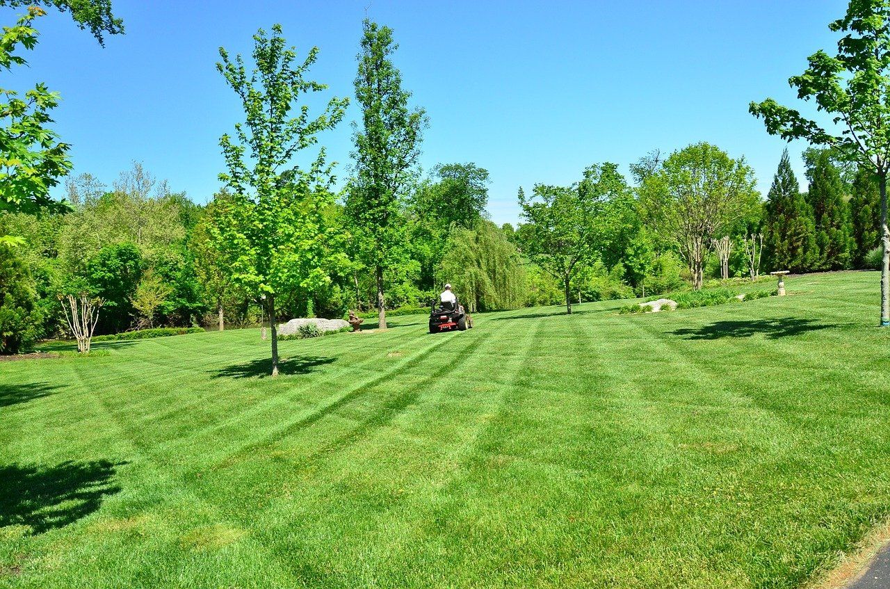 A Good-Looking Lawn = Good for the Environment