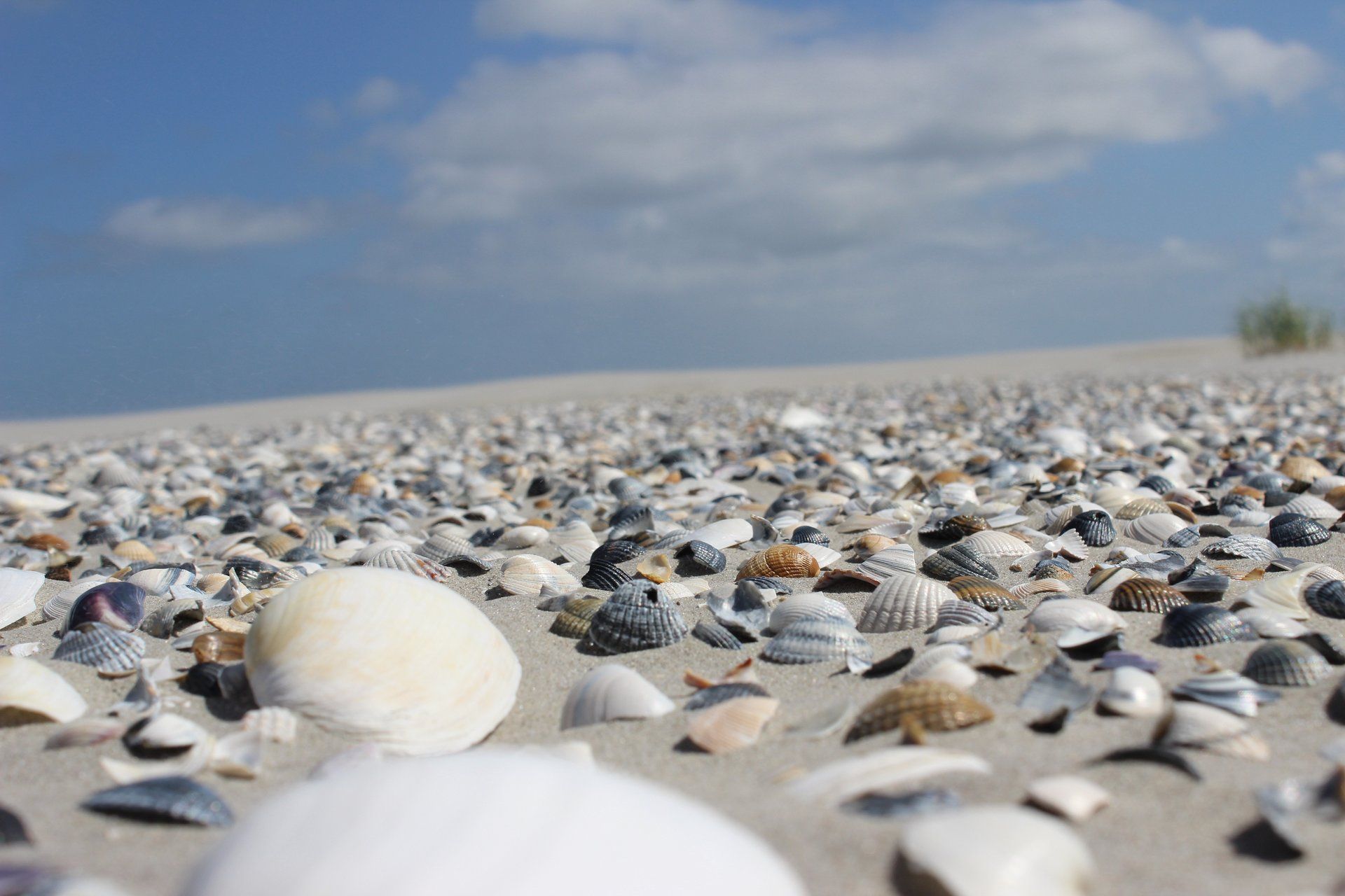 caravan ameland-kasper