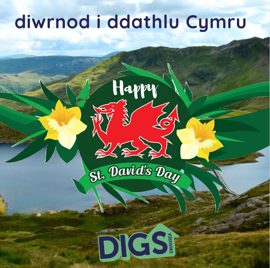 Happy St David's Day!