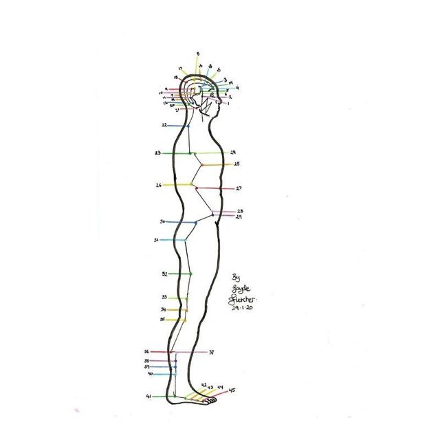 Liver Gallbladder Meridian The Gallbladder – Glastonbury Acupuncture