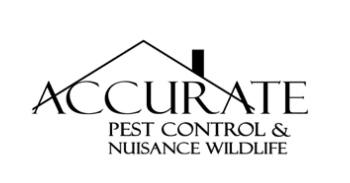 Pest Control System | Accurate Pest Control | Rotterdam