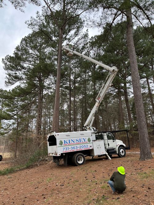 Kinsey LLC Tree Services | Tree Removal & Tree Services | Paris, TN and ...