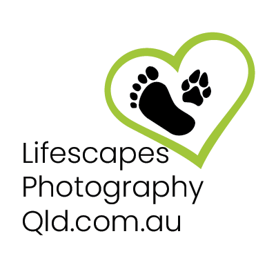 Lifescapes Photography Qld