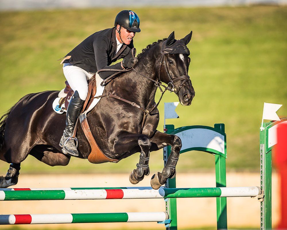 Australian Event Horse Centre - Limitless Lodge - Ph Tim Boland on 0418 ...