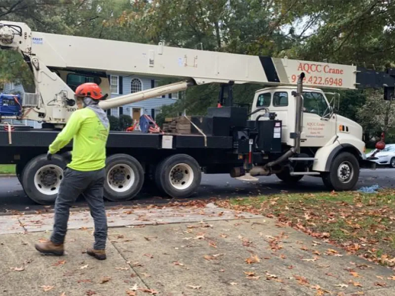 Smart Tree Service | Chapel Hill, Durham & Carrboro, NC | Tree Company